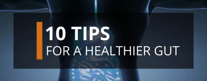 10 Tips for Gut Health - Living Optimal Health